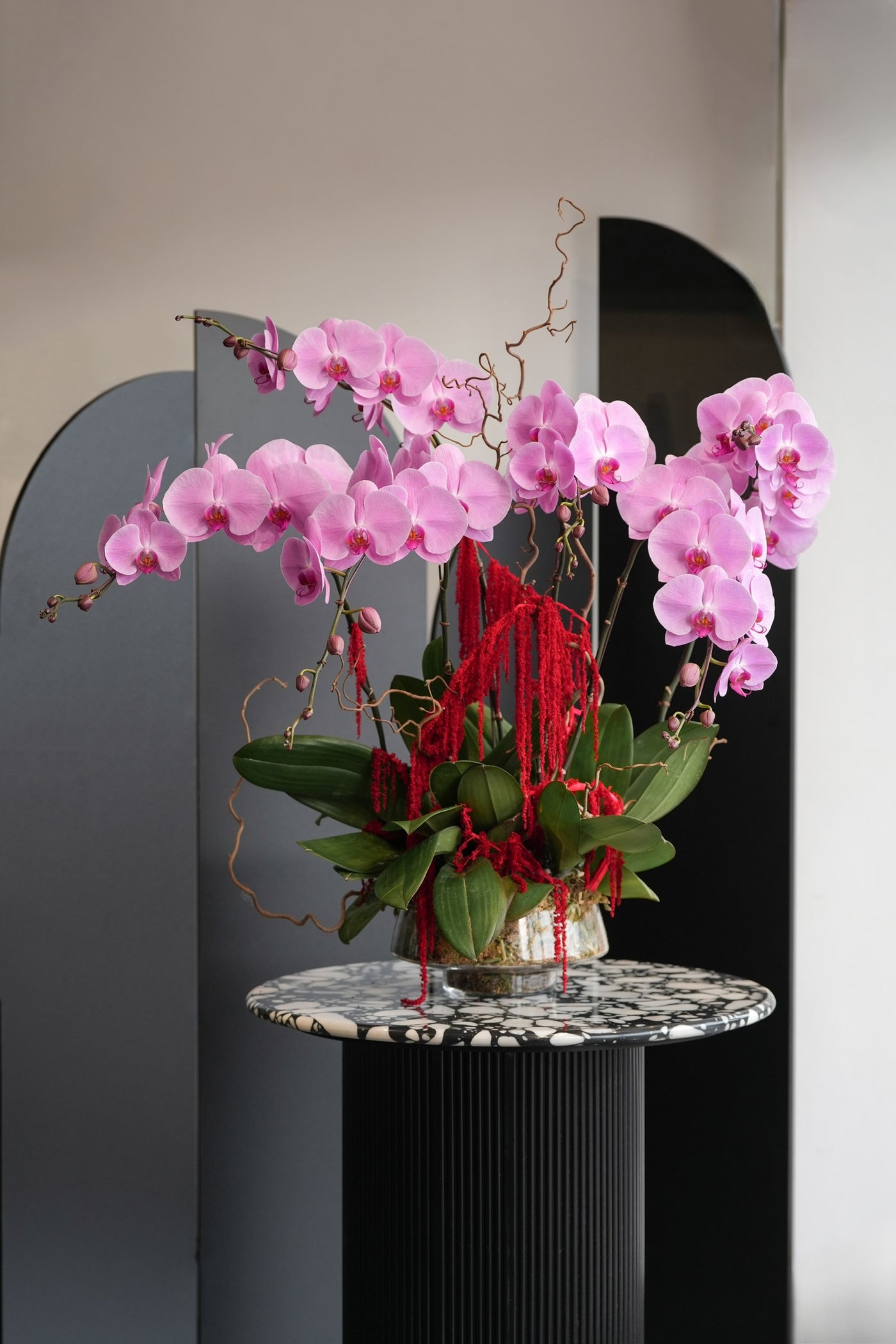 Alma – Pink Dutch Orchid Arrangement | Elegant Orchid Display by Just ...