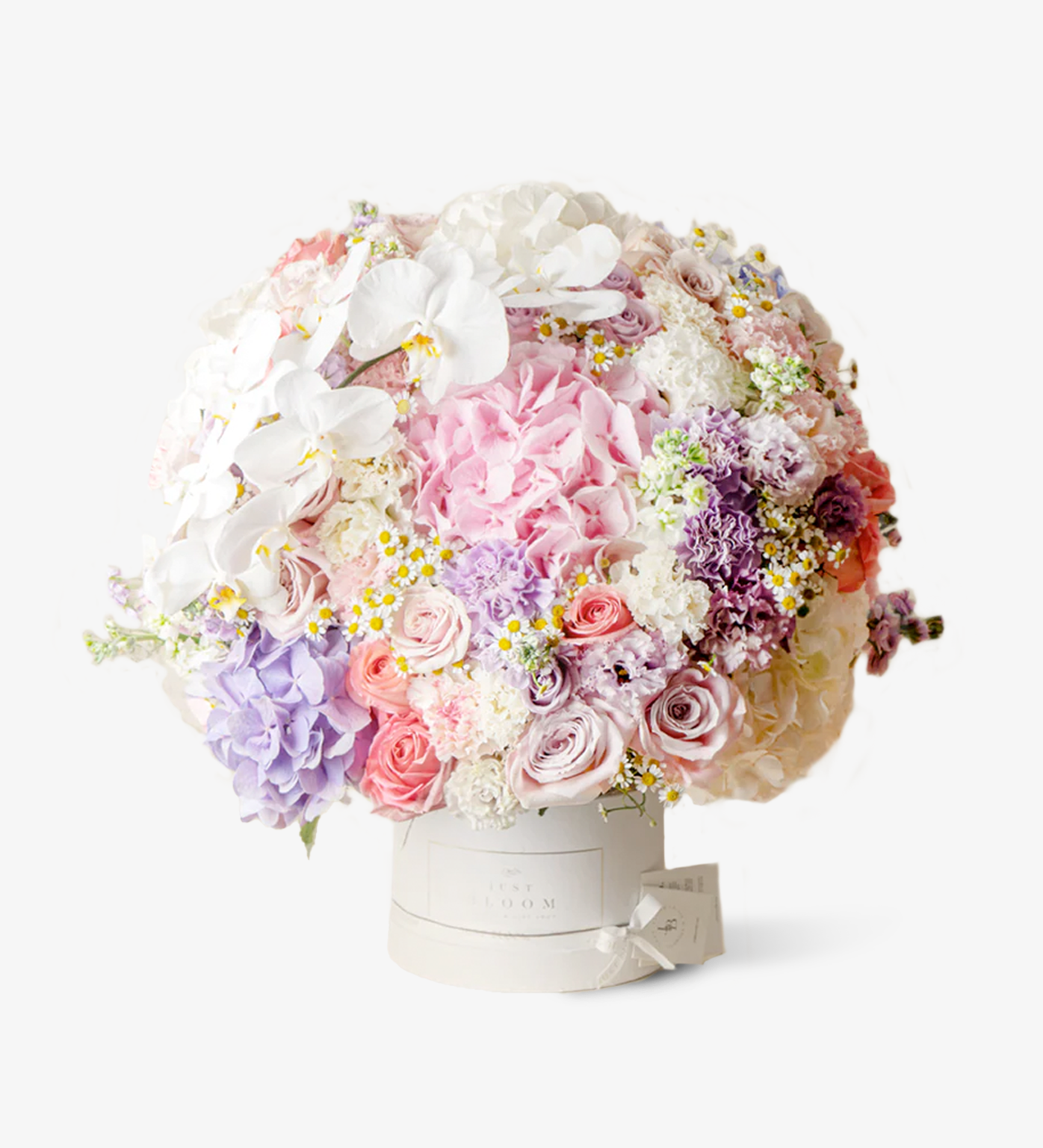 Journey – Luxury Dome Flower Box with Roses & Orchids | Just Bloom Hong ...